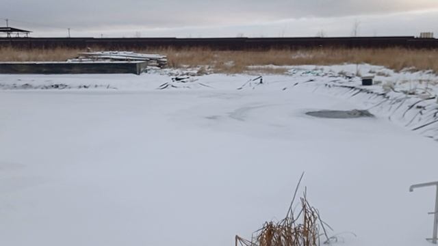 Начало зимовки пруда 2023 года