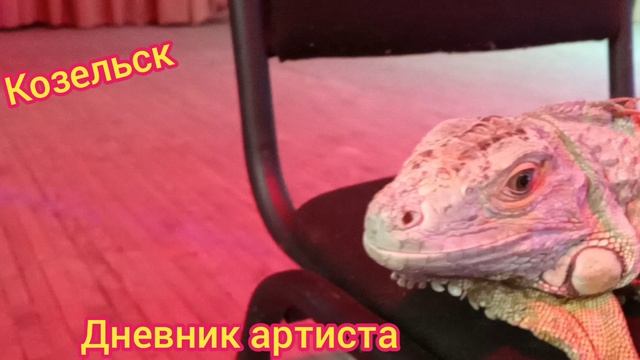 Вот чем встретил город Козельск