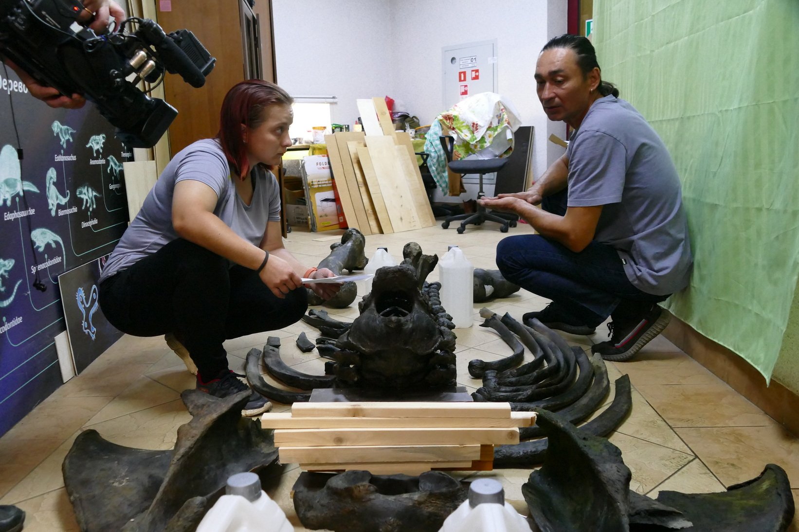 В Лебяжском районе вятские палеонтологи нашли хорошо сохранившиеся останки мамонта. Сюжет ГТРК Вятка