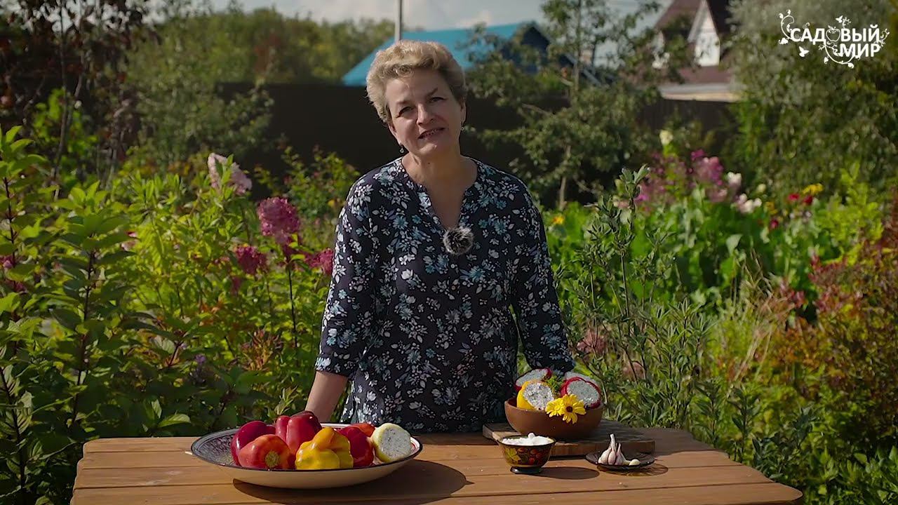 Фаршированные перцы ТВОРОГОМ: супербыстро и суперполезно! Сметут все за минуту!