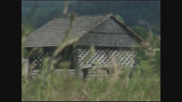 Словения (Slovenija). Рыбалка 4.