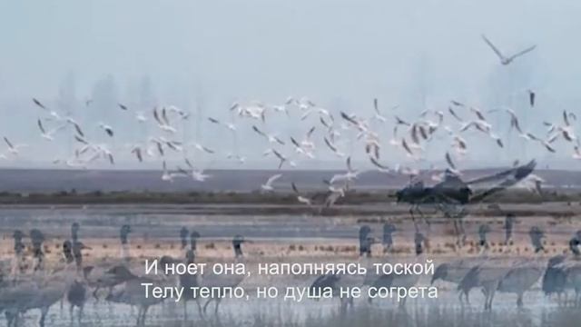 Журавли Караоке