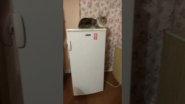 Всё под контролем