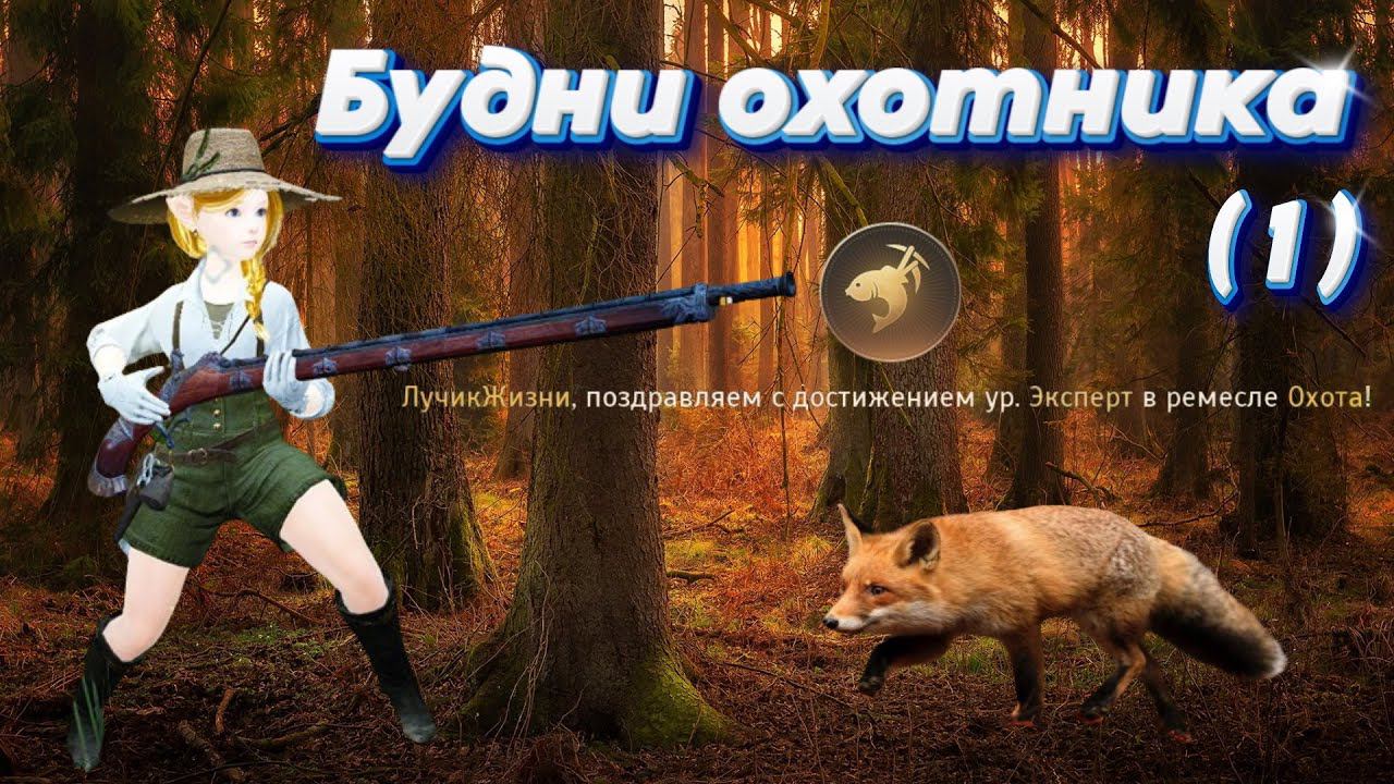 Black Desert. Shai. Шай.  Будни охотника (1). Проба "пера" (ружья)