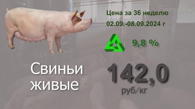 Что сейчас происходит на рынке мясной продукции? Цены за 36 неделю #мясо #аналитика #АПК
