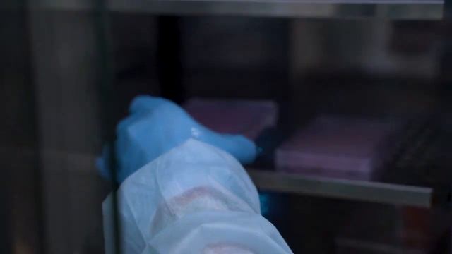 МЕДИКО-ПРОФИЛАКТИЧЕСКИЙ ФАКУЛЬТЕТ