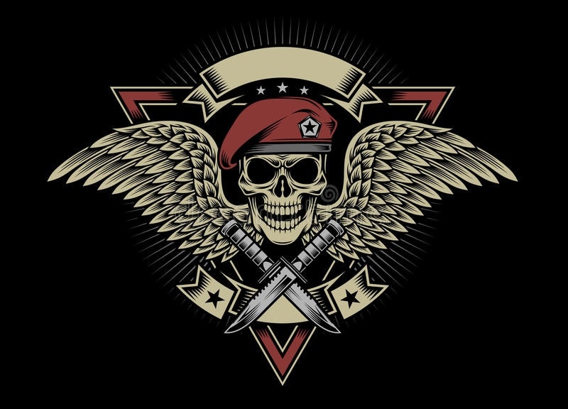 Частная военная компания «Черные вдовы» создание и деятельность.