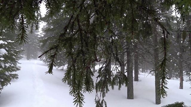 Таганай, дойти к Откликному  Гребню