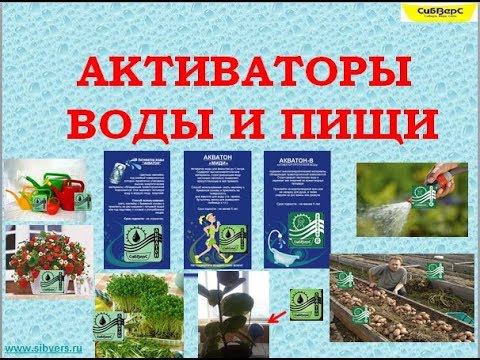 Активируем воду и пищу в домашних условиях