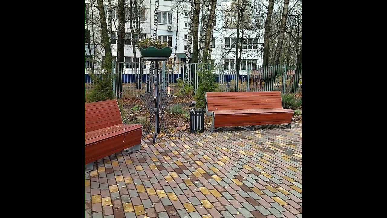 Ворона проказница