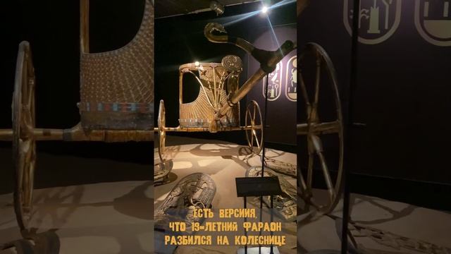 Выставка сокровища гробницы Тутанхамона #shorts