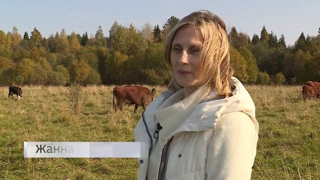 Вести с полей вологодские фермеры