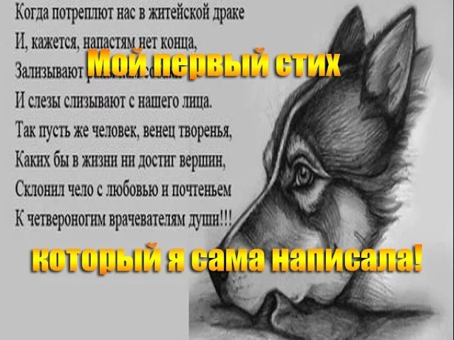 Мой блог + мои стихи! #1