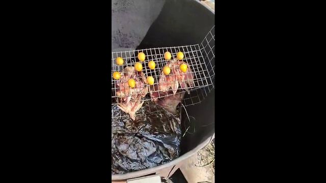 Копчение перепелов и перепелиных яиц