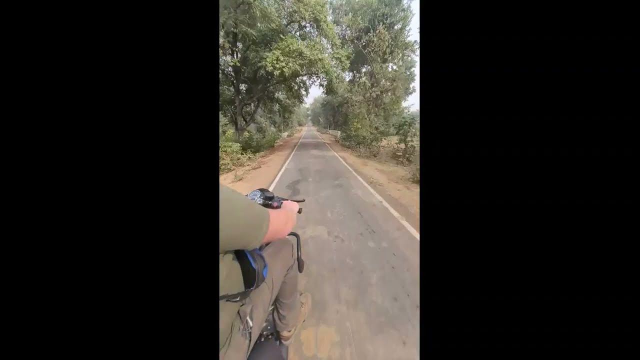 Индия-2023. Кхаджурахо. На мотоцикле в заповедник