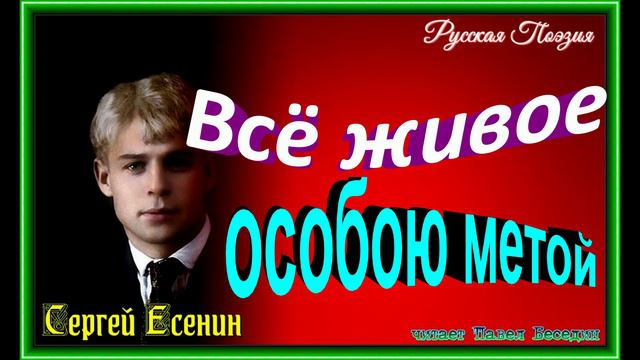 Всё живое особою метой Сергей Есенин Русская Поэзия читает Павел Беседин