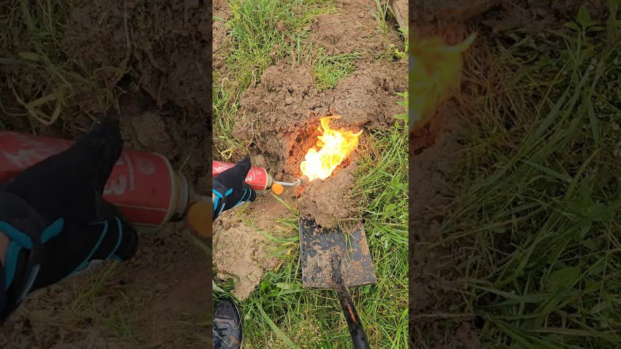 как избавиться от земляных ос. наш метод