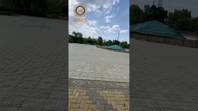 VID_20220531_164944_487.mp4