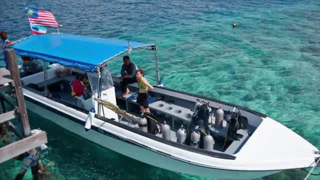 Дайвинг Малайзия о.Pom Pom Diving