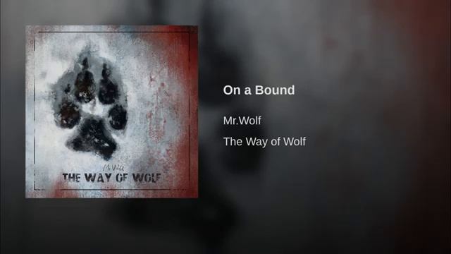 Mr.Wolf - On a Bound