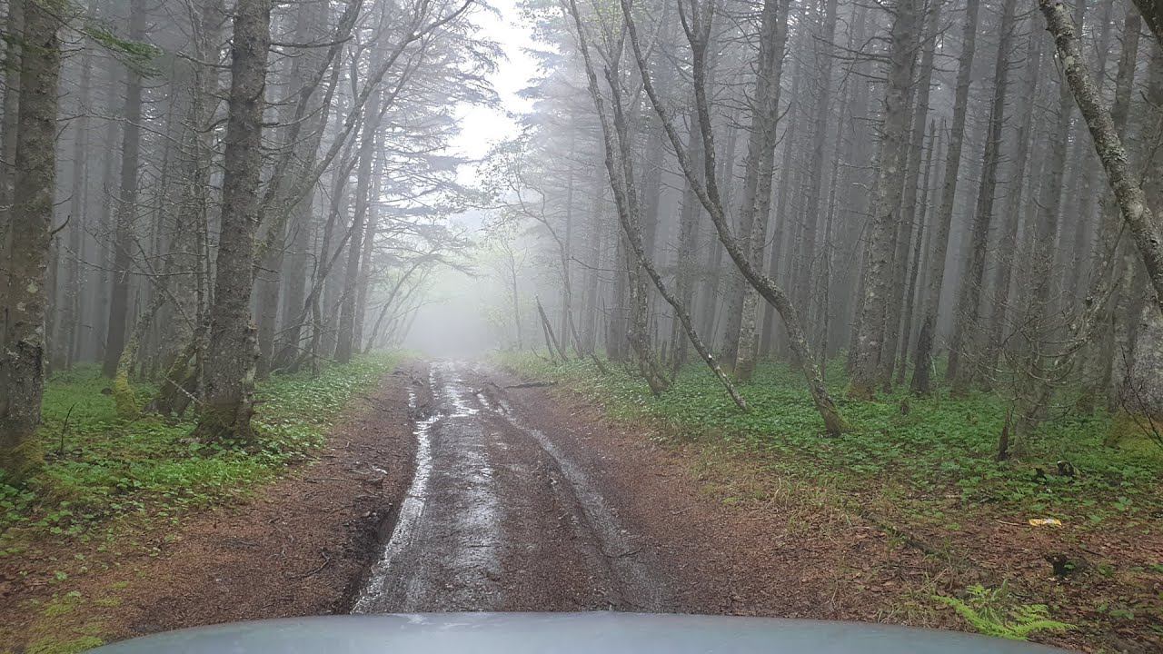 СовГГавань 06 2020