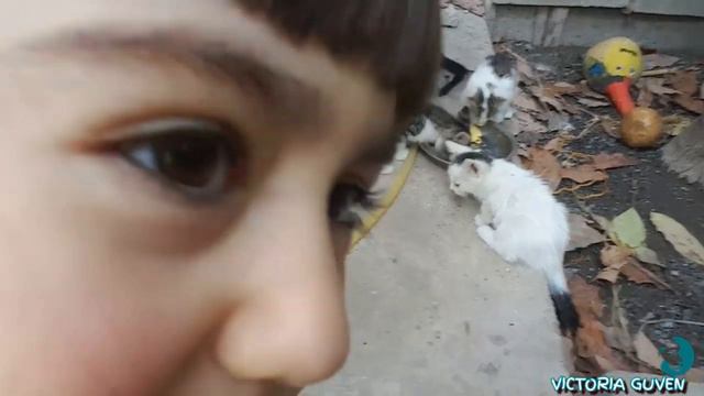 Делаю вино из слив Прошлая жизнь в Турции Vlog 19