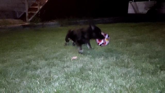 Марта и мячик