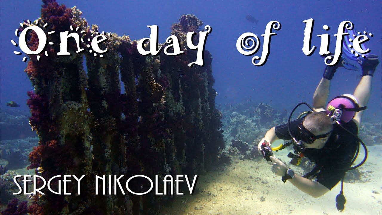Лето в Шарм эль  Шейхе. Дайвинг в национальном парке Ras Mohamed. One day of life - Nikolaev Sergey