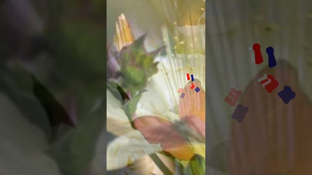 Желаю Вам... 🤗💐#доброеутро#настроение#shorts#