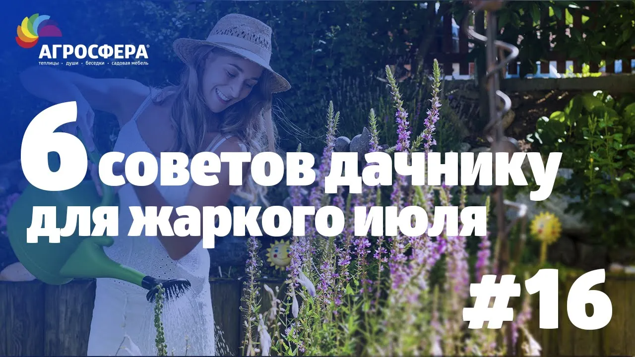 Советы для дачи и сада #16 - рекомендации для дачи и сада на июль / агросфера.рф