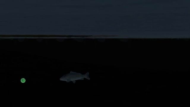 Fishing Planet -Нырок под воду или порванная леска).mp4