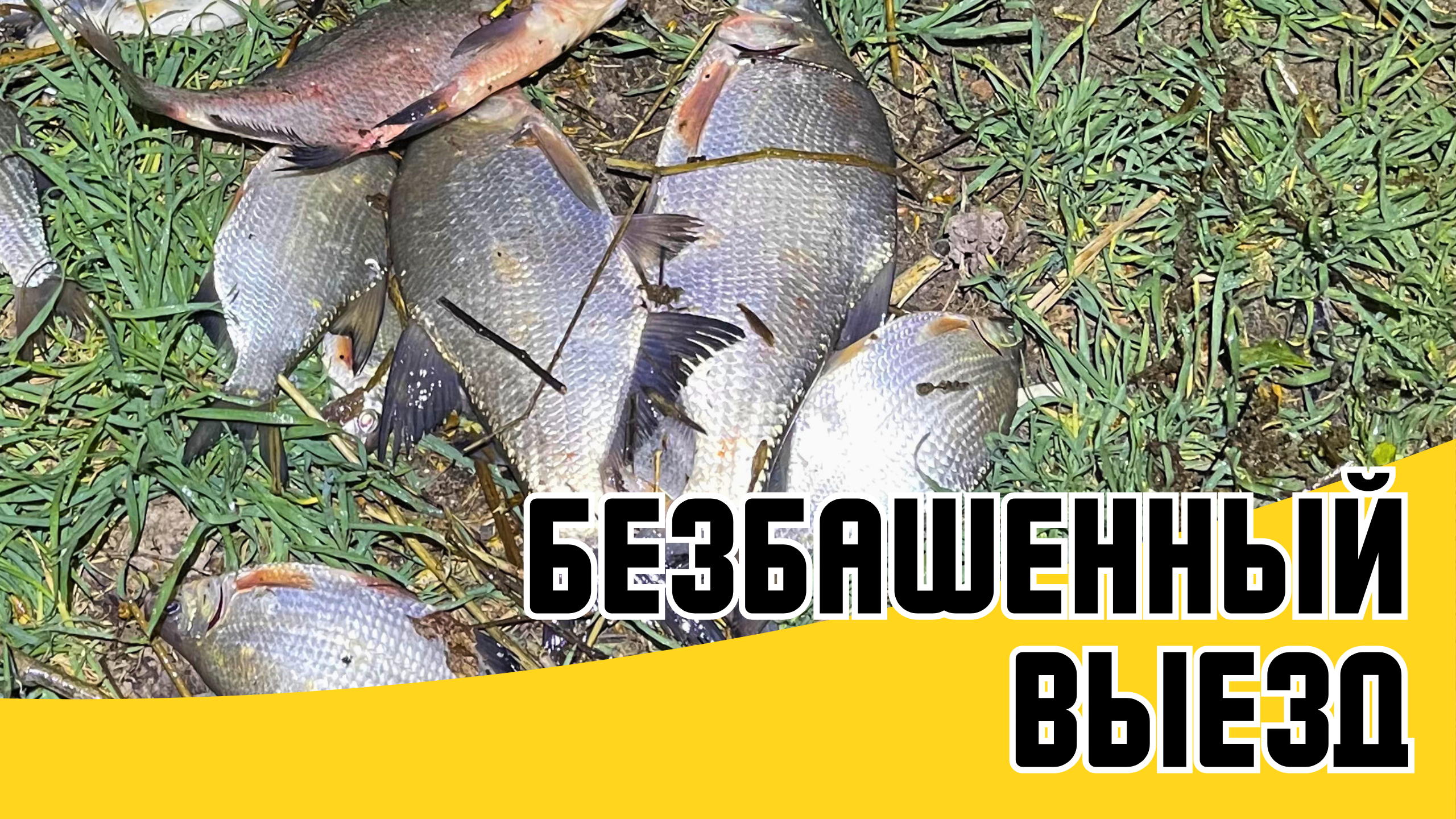 РЫБАЛКА ФИДЕРОМ НА ДОНУ. СПОНТАННЫЙ ВЫЕЗД. С ПОГОДОЙ НЕ ПОСПОРИТЬ. РЫБАЛКА УДАЛАСЬ!