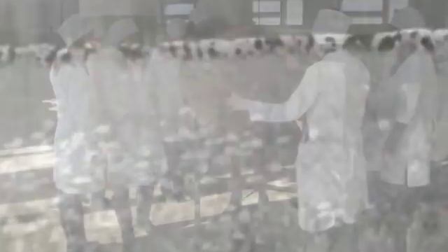 ВГМХА Прошлое, Настоящее, Будущее..mp4