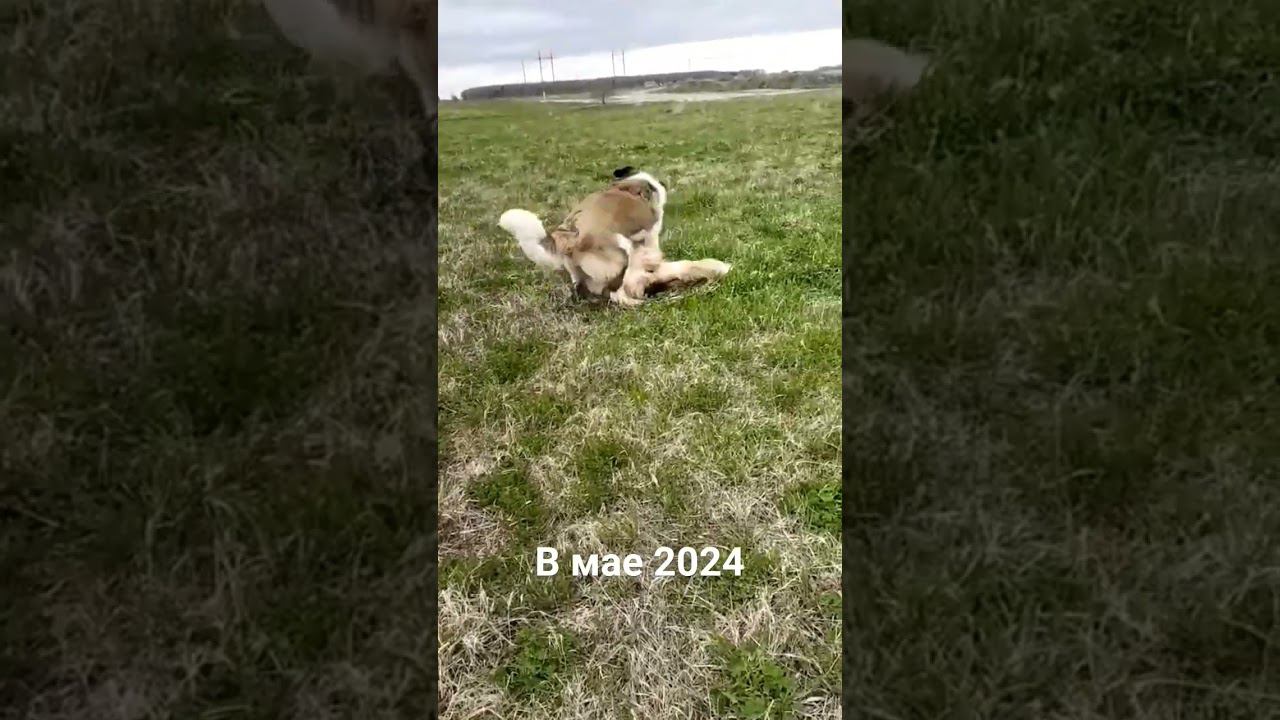 Как быстро растут дети!