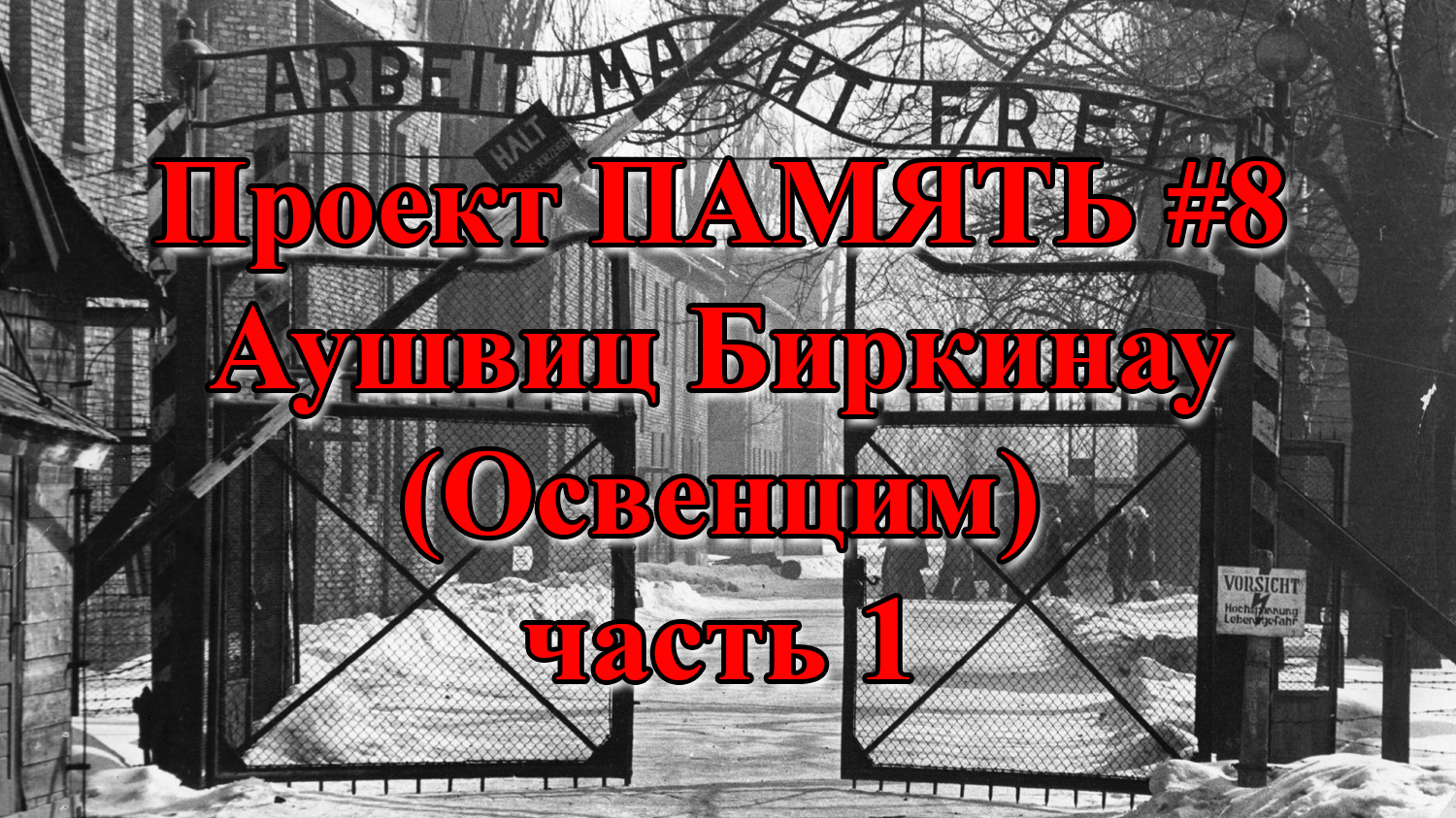 Проект ПАМЯТЬ #8 - Аушвиц Биркинау (Освенцим) часть 1