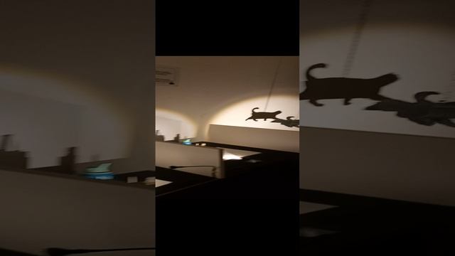 музей теней , спб , Питер , shadowmuseum  , shadow museum