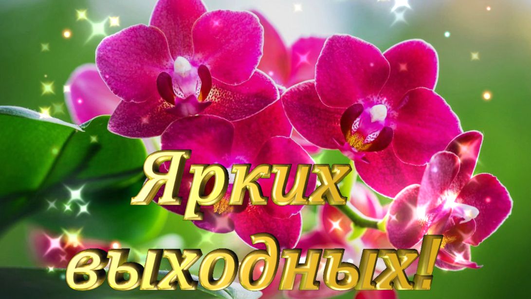 Ярких выходных!