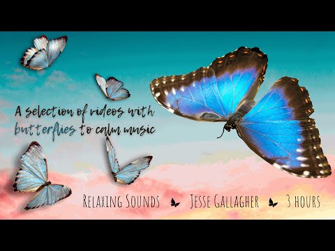 Relaxing Sounds - Подборка видео с бабочками под спокойную музыку