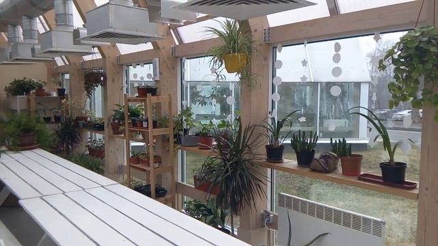 ВДНХ. Городская ферма. Прогулка