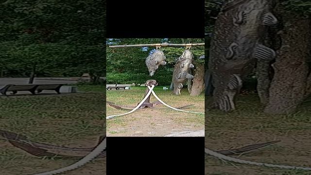 курортный город Зеленогорск