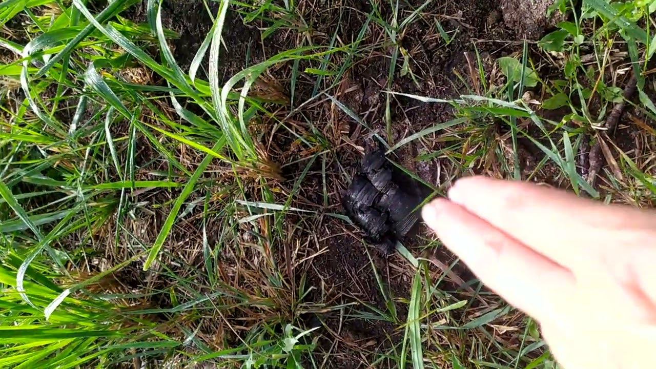 Часть 3 #Умный #гениальный #ленивый #огород. Без перекопки, полива, прополки, даже без мульчирования