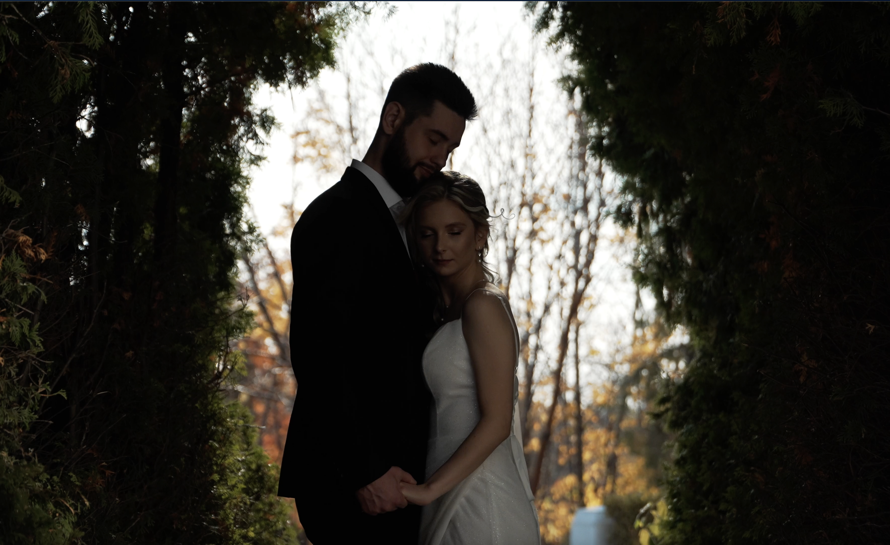 Свадебный SDE-фильм Дмитрий+Екатерина