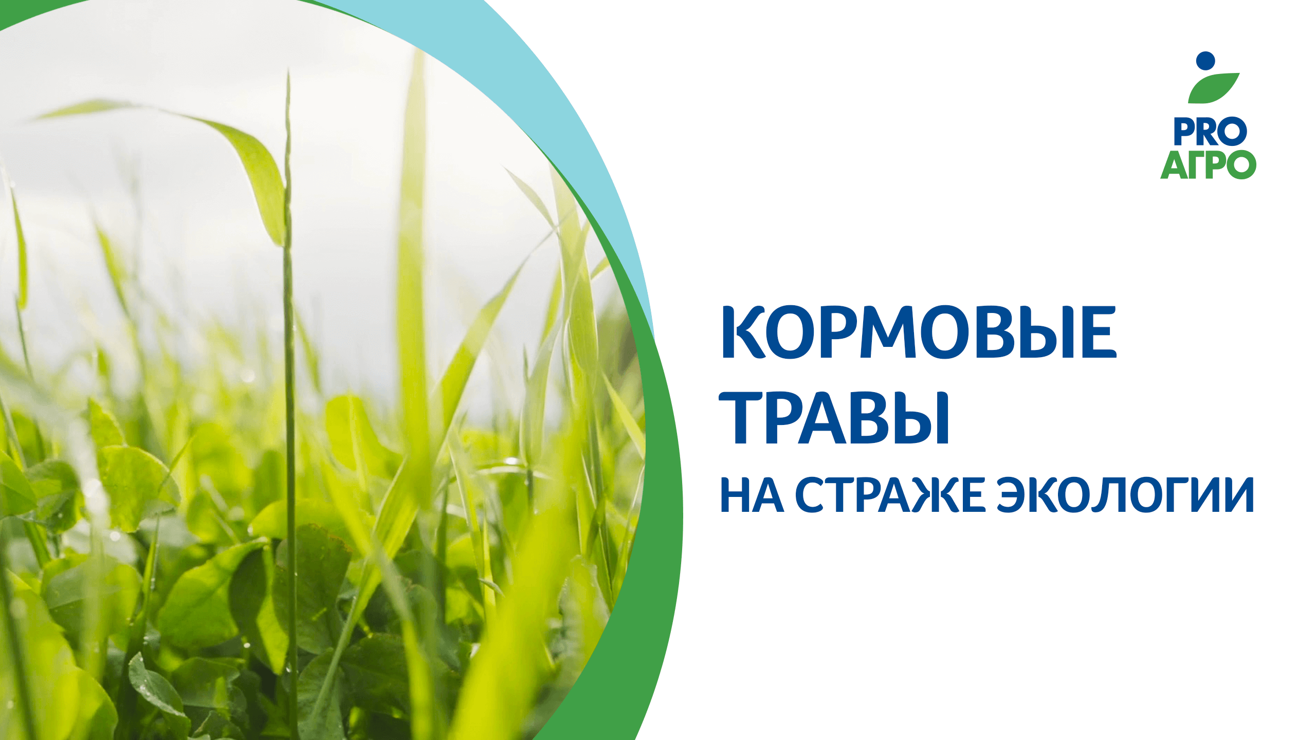 Кормовые травы на страже экологии