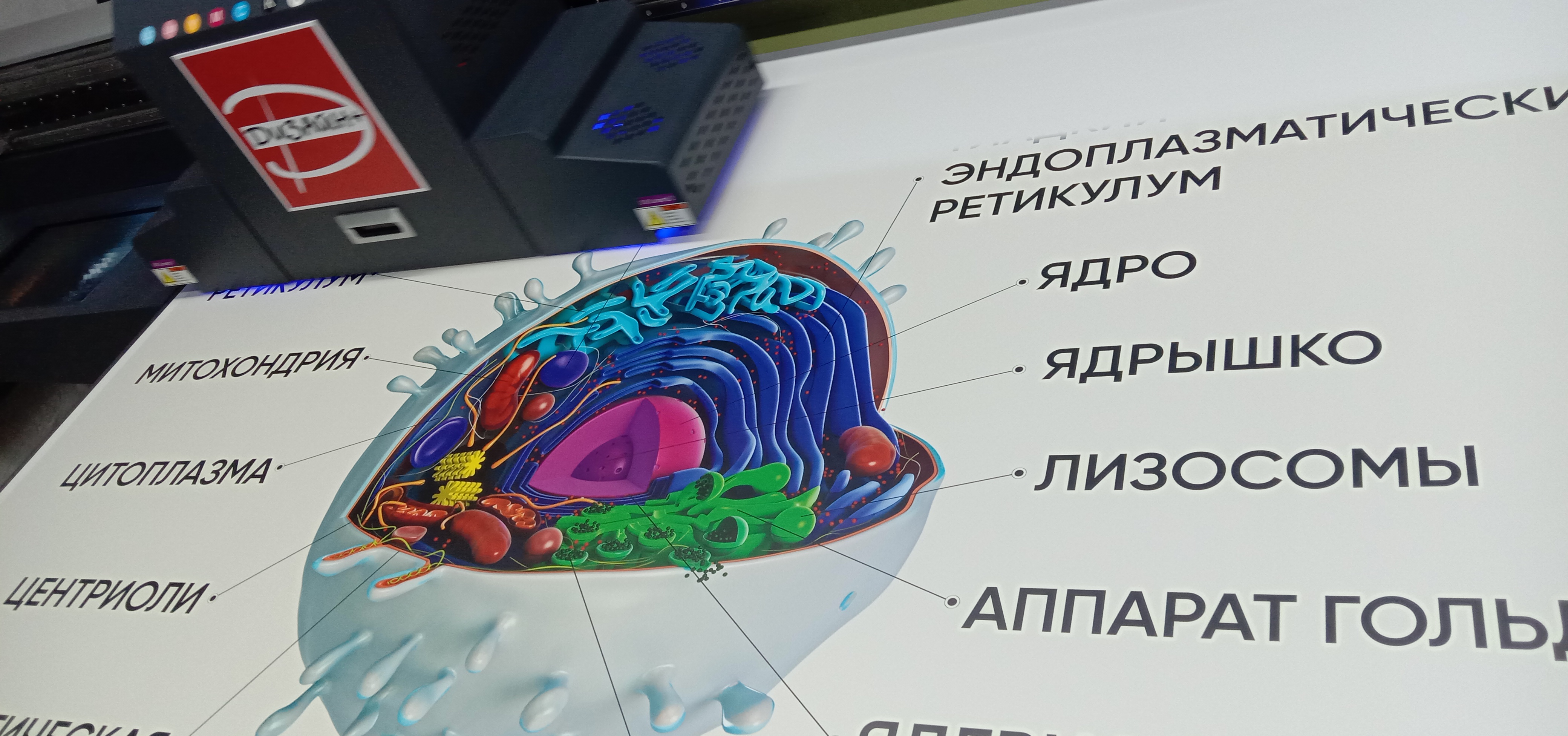 Структура Живой клетки. Тематические стенды в школу