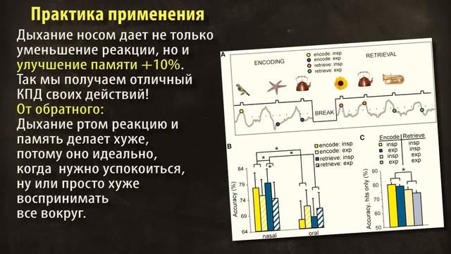 31. ВыносМозга#1 Реакция +10%, Слух, Дыхание