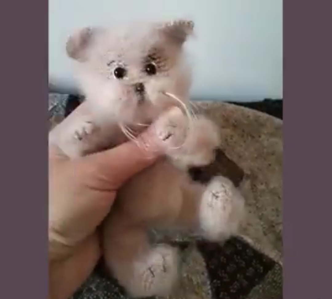 Котенок Клепа