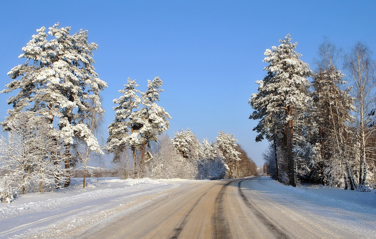 Белая сказка