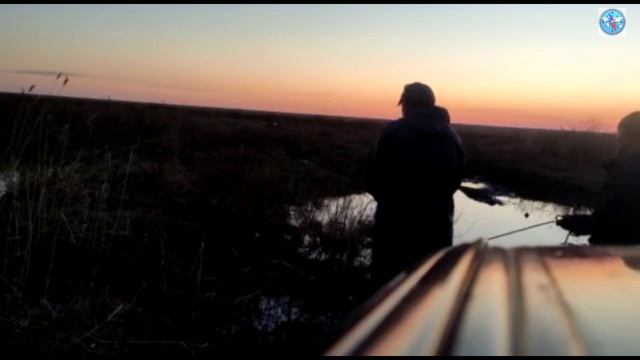 Геныч и Петрович на копе