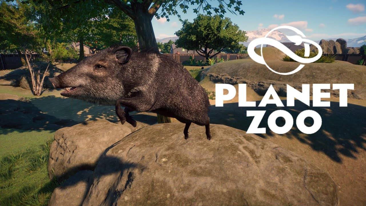 Planet Zoo - Ошейниковый пекари