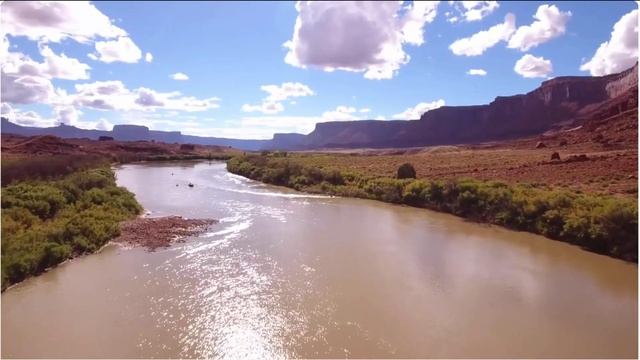 Древние ископаемые найденные в пустыне